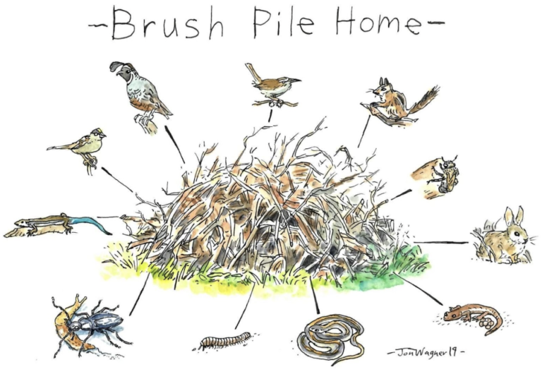 Wildlife Piles – Tending The Land