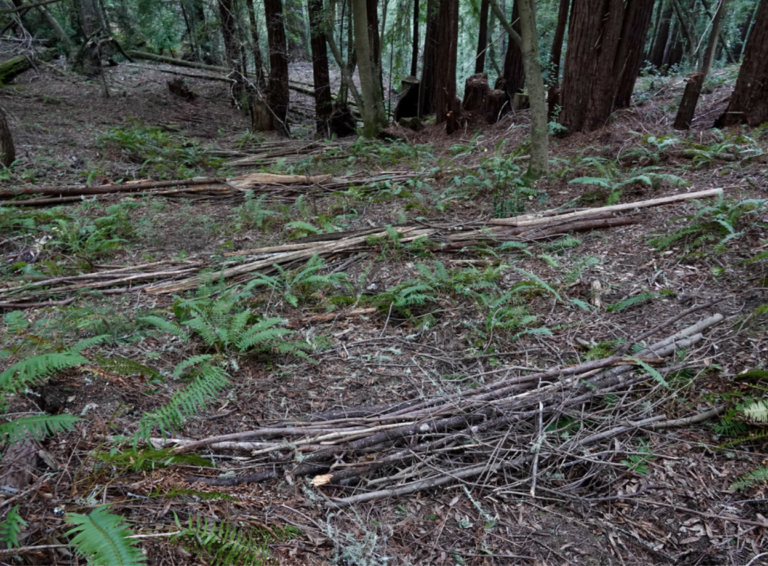 Headcut Gully Stuffing – Tending The Land