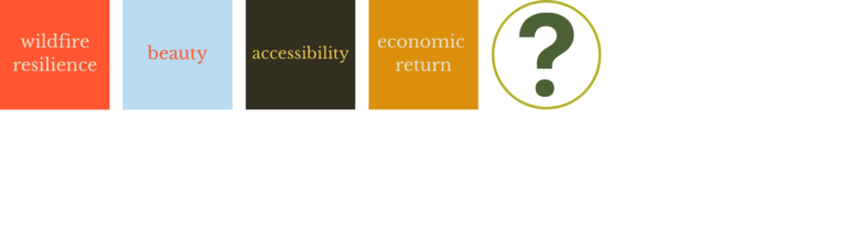 Limbing Up – Tending The Land